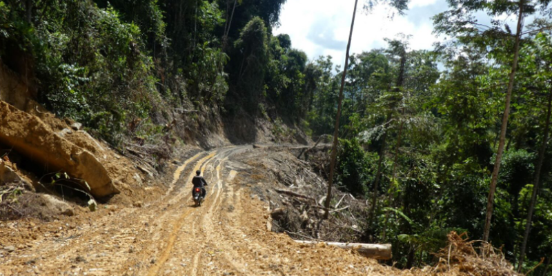 Civil society organisations call on FSC to drop Samling Group | FSC-Watch